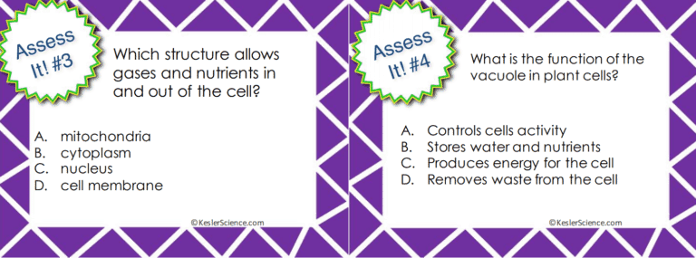 Plant and Animal Cells Lesson Plan - A Complete Science Lesson Using ...
